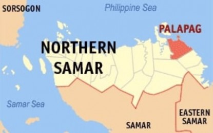 3 Rebeldeng miyembro ng NPA, sumuko sa Northern Samar - Tinig ng Kabisayaan